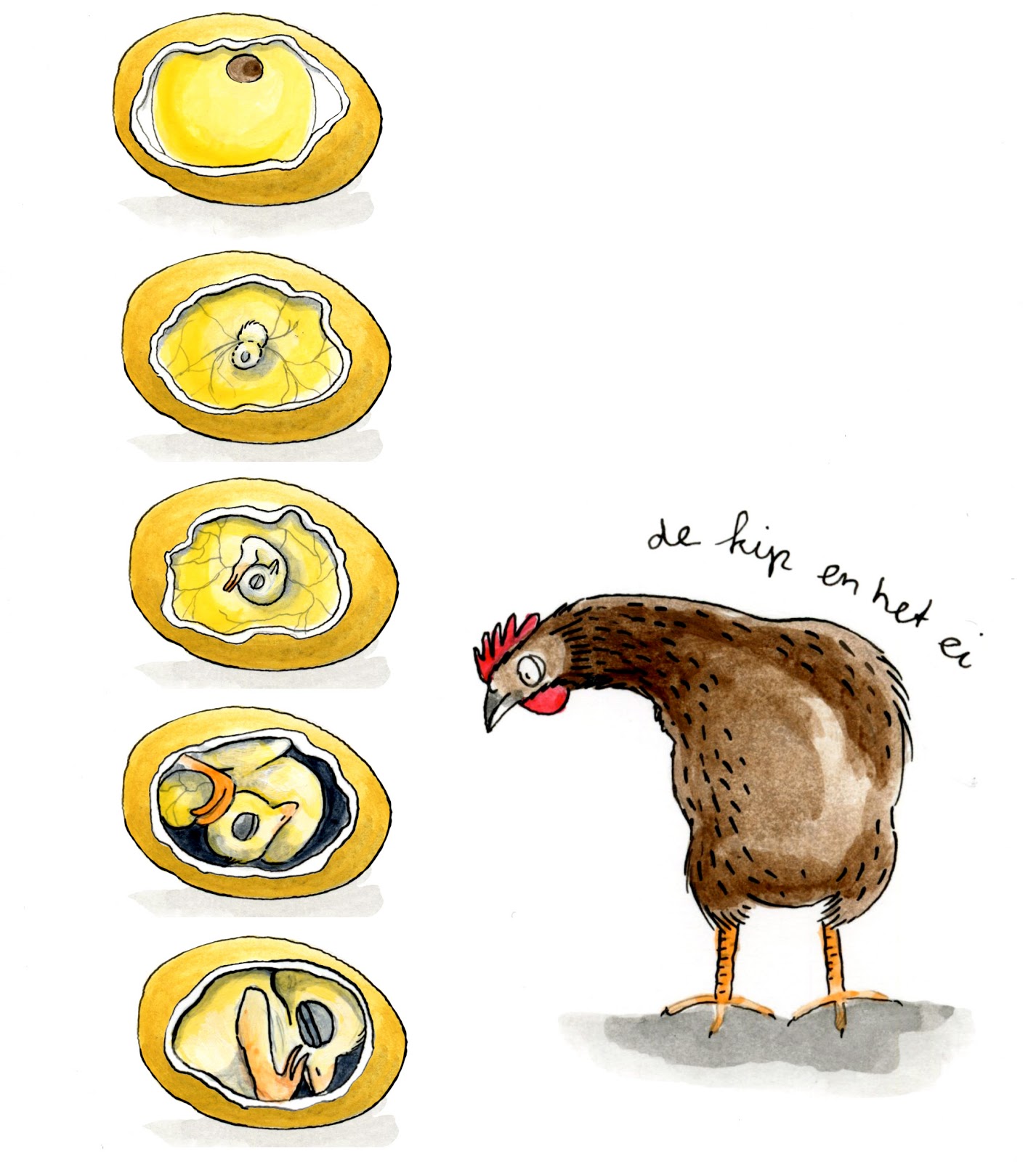 illustraties Madelart: En na het ei komt de kip!