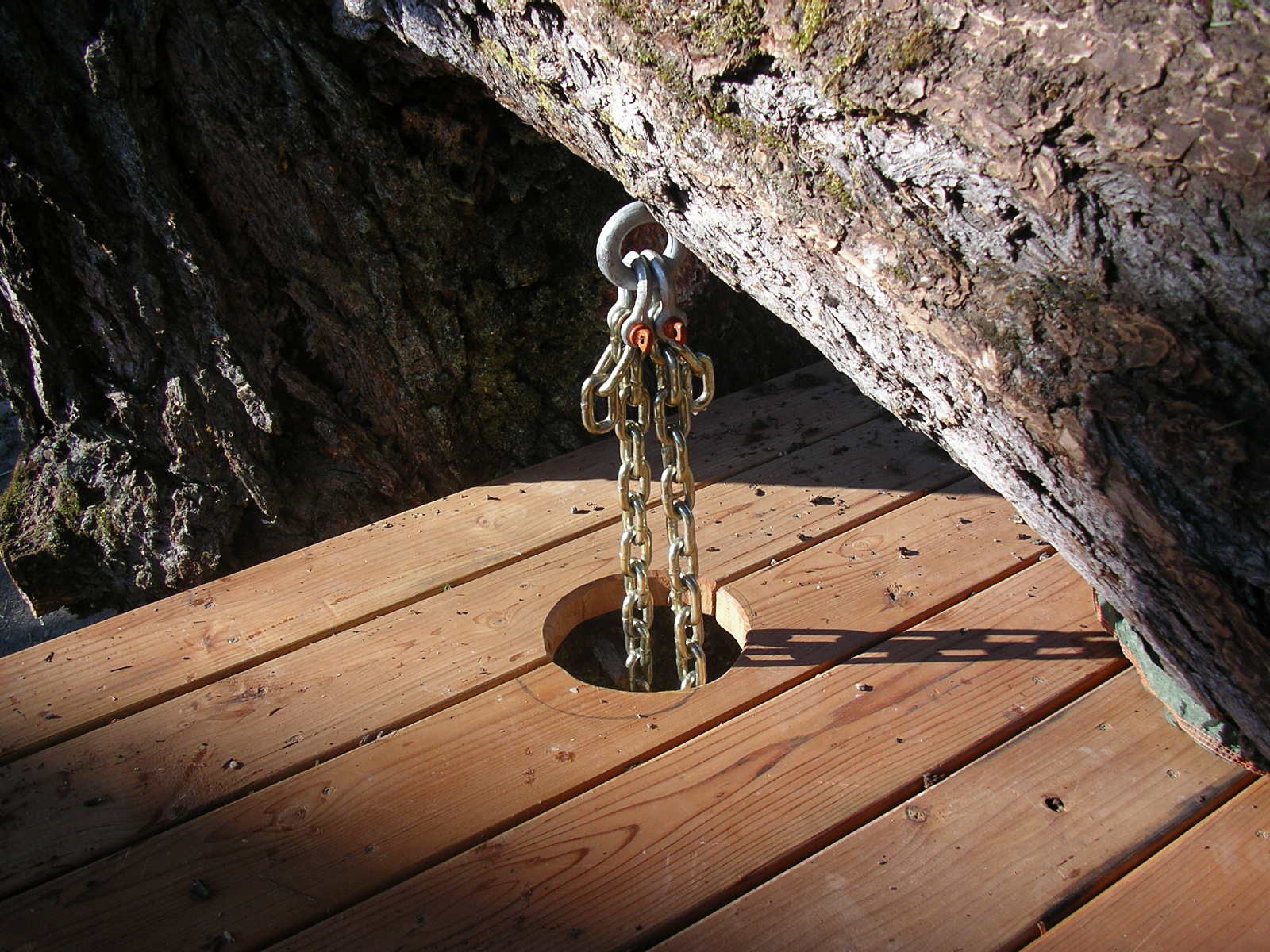 Priority Tree: Suspended Tree House, (deck)