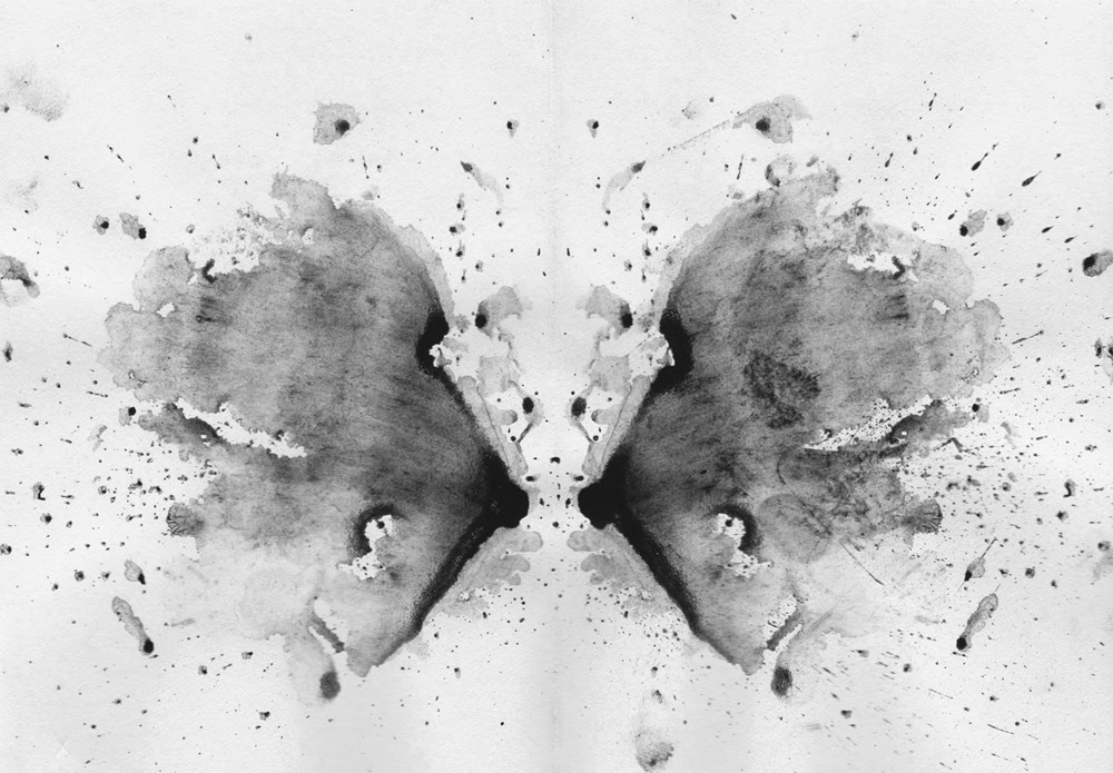 Samantha Niemczyk: Adaptation B: Inkblot Interpretation Help Needed!