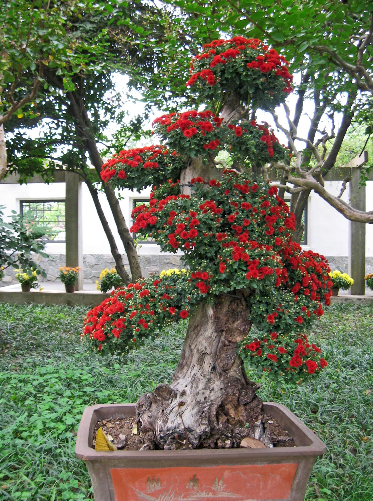 Jax Stumpes: Nanjing's Xuanwu Lake Park (10/3/2011)