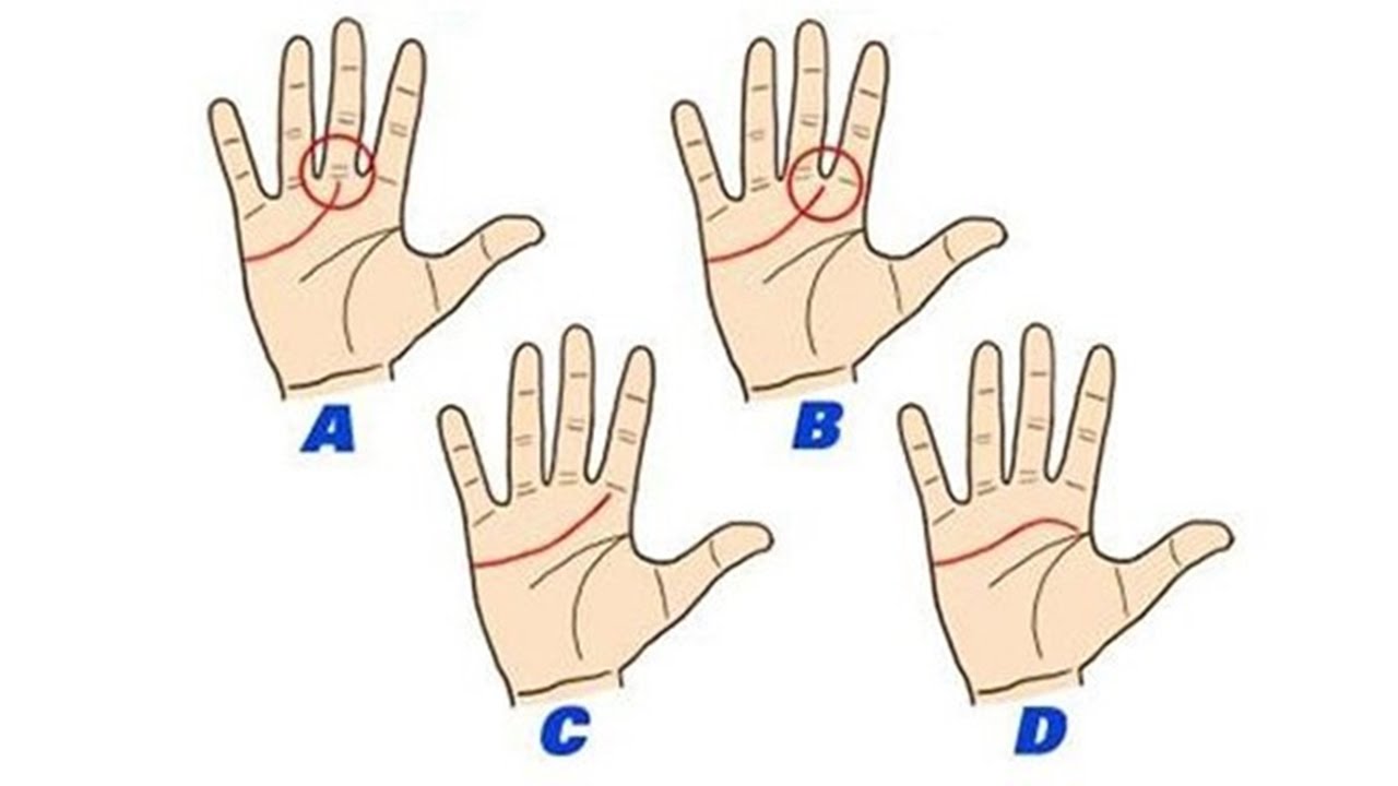 Wisdom Path: What The Heart Line on Your Hand Reveals About Your ...