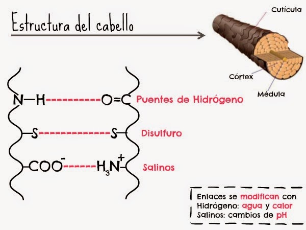IMAGEN PERSONAL - SALUD INTEGRAL : enero 2016