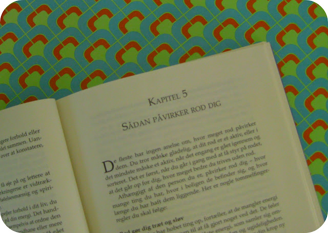 DIY se her hvordan: Ryd op i dit rod