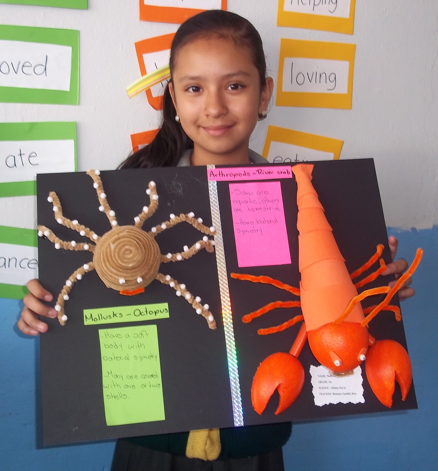 My English Class: 5th grade B Science Project (Invertebrates)