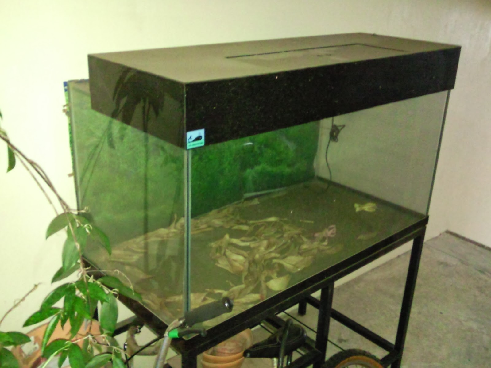 Singapore Big Sale: Many 2 to 4 feet Fish Tanks For Sale