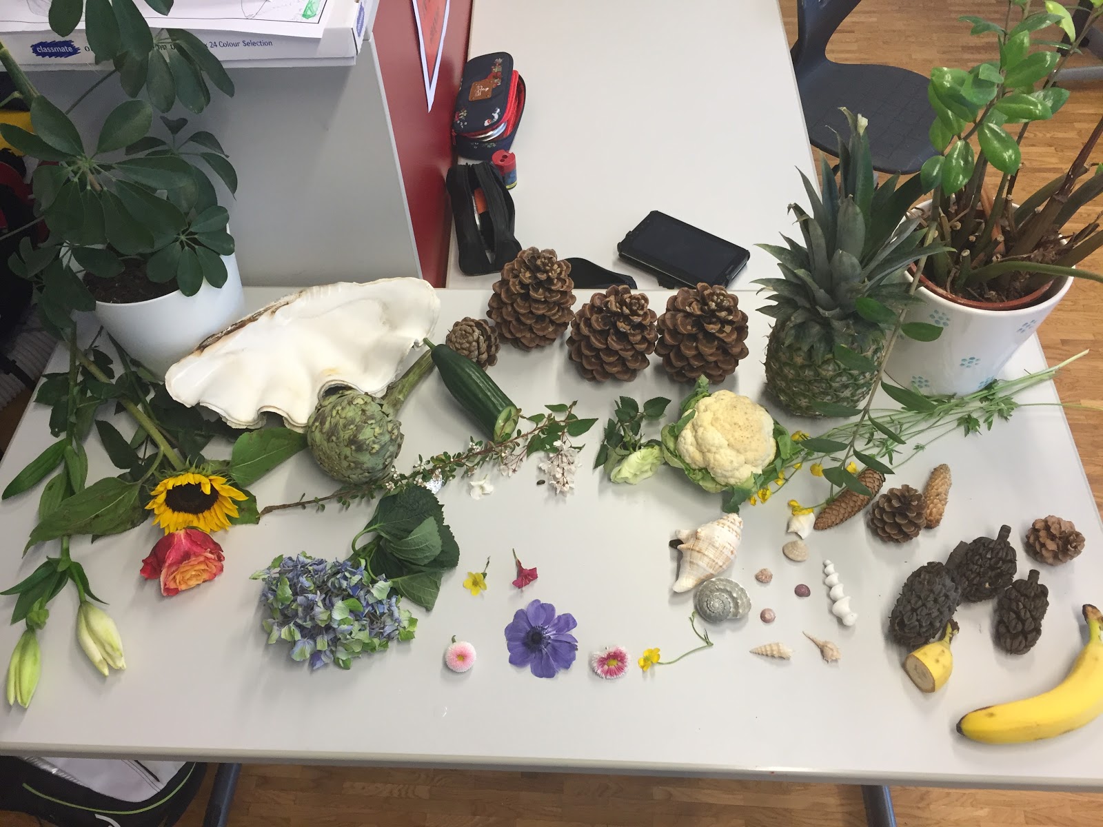 Fibonacci Sequence In Fruit