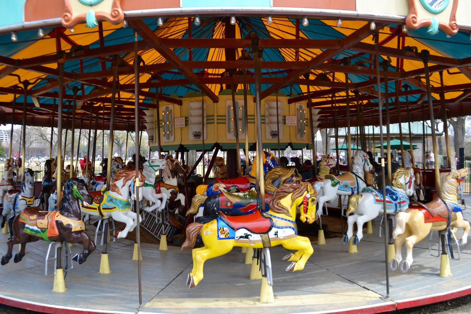 It's All About Purple: Carousel on the Mall