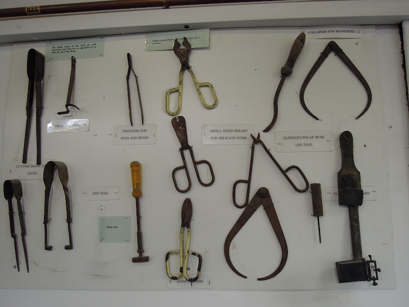 Life's Adventures: Glass blowing