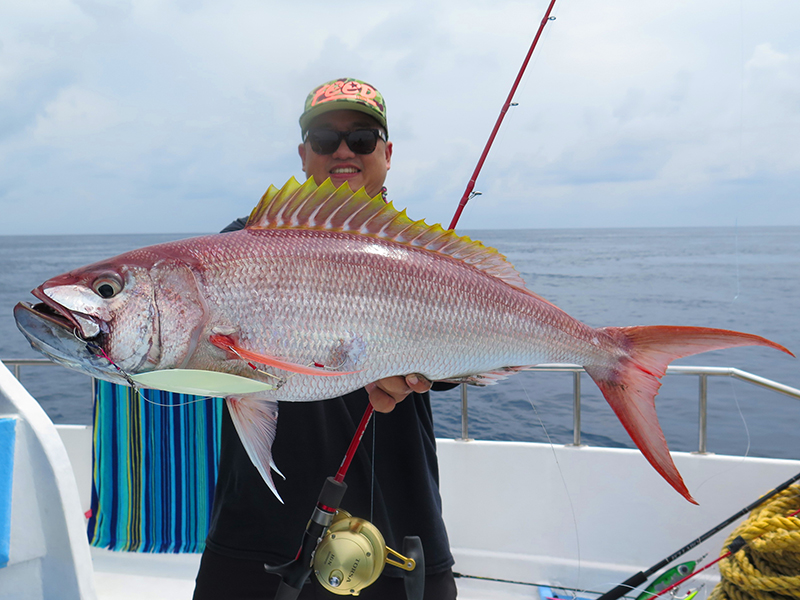 Tackle Source: November 2017