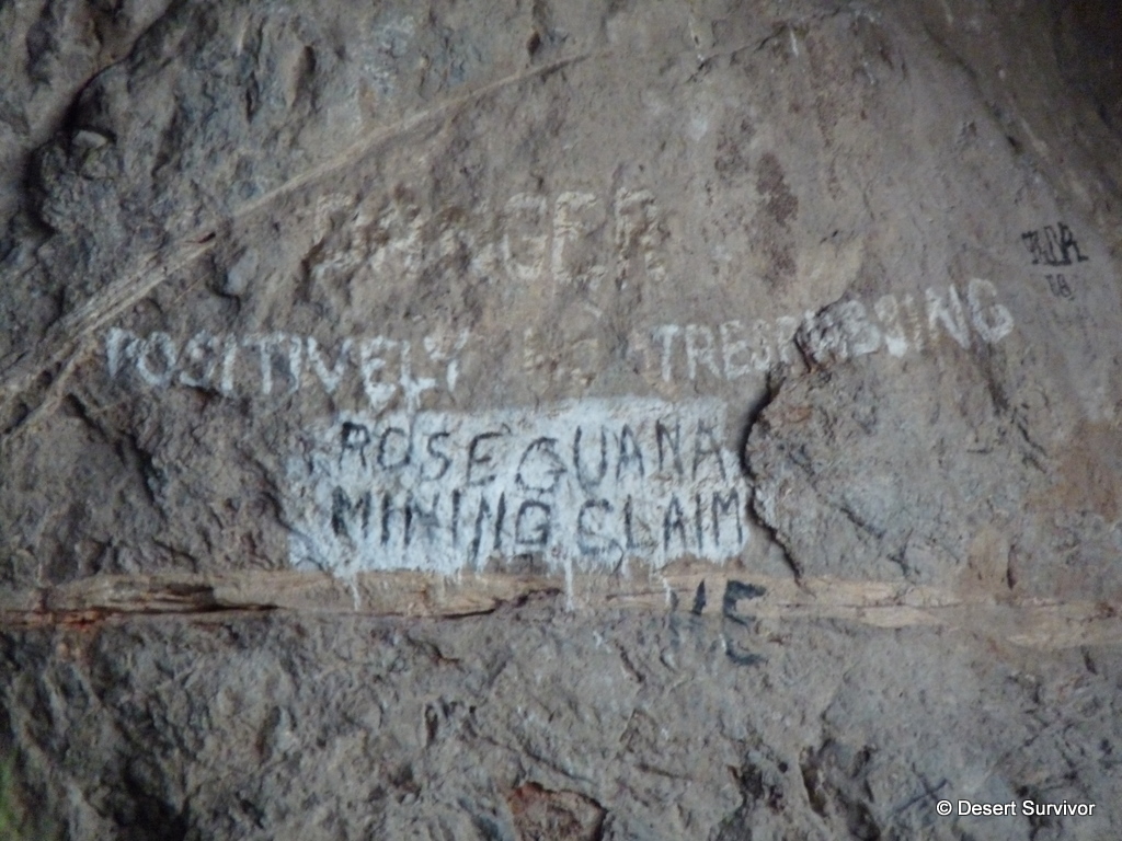 Desert Survivor: Bat Flight from Rose Guano Cave