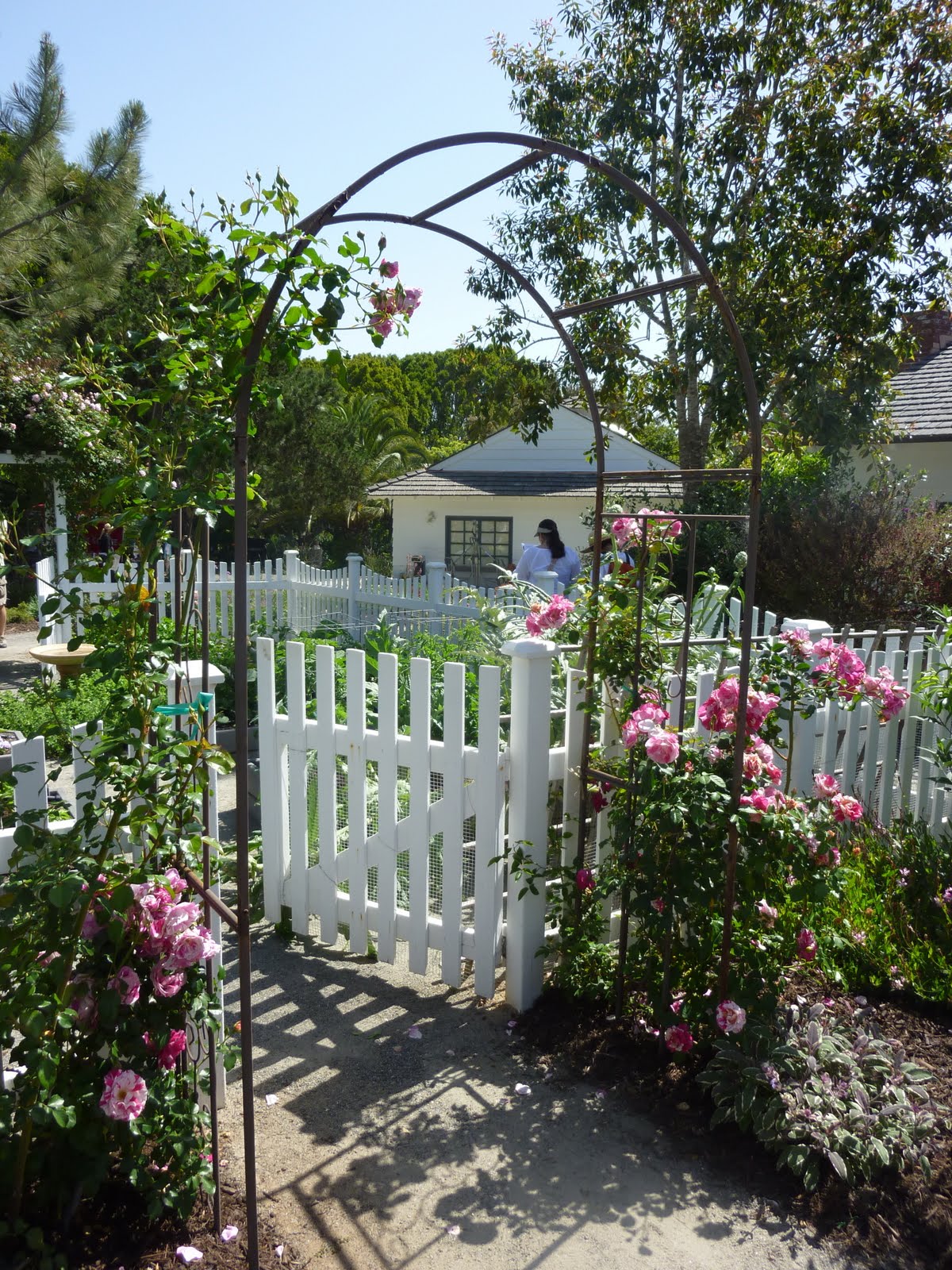A Place to Share: Welcome to the Encinitas Garden Tour on Crest Drive