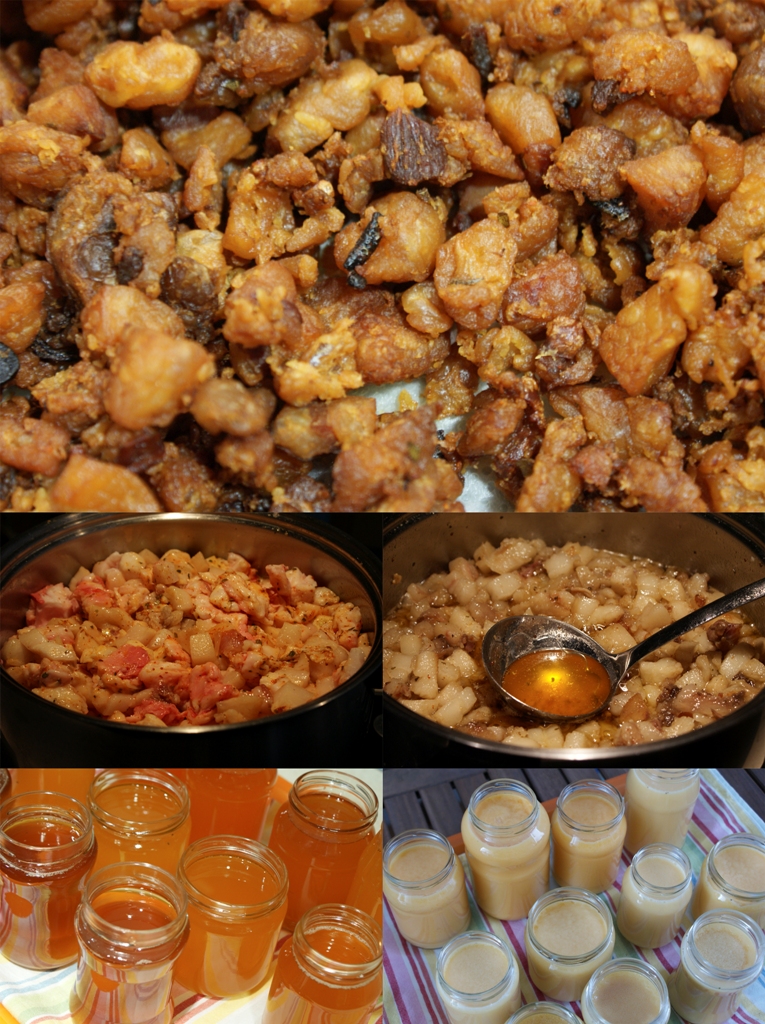 Cantinho da Somi: Recordações |Torresmos|