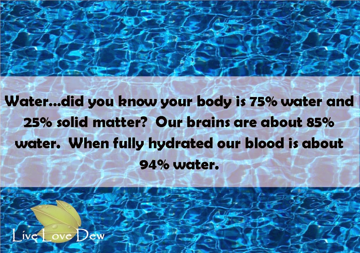 Live Love Dew: Blog Post: Hydration