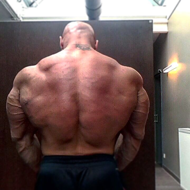 Bodybuilder Muscle Worship: Hoppe Markus German Bodybuilder