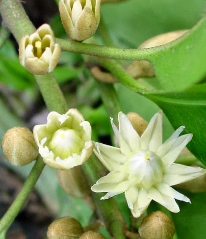 ARUNACHALA LAND: September 2013