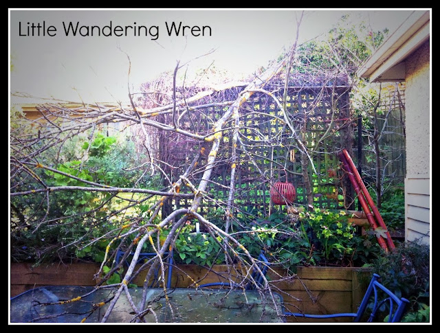 Melbourne Spring Garden - LittleWanderingWren