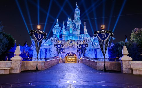 Disney Photoblography