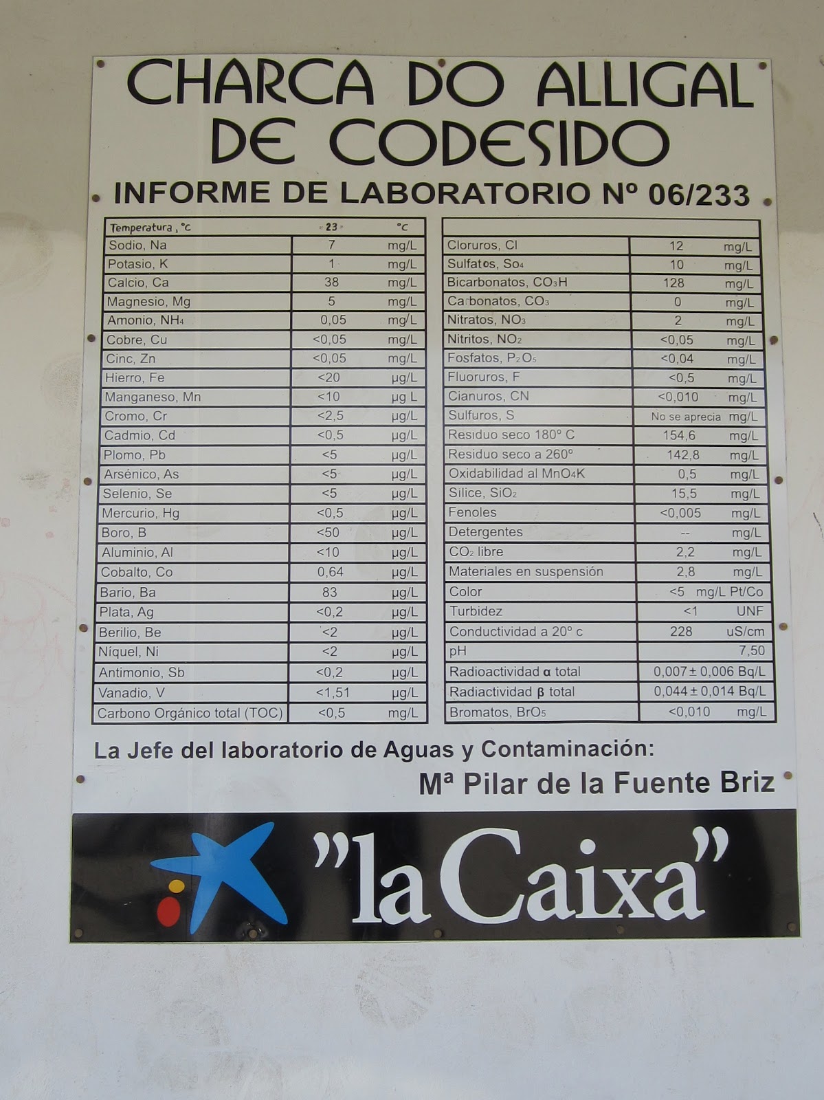 Un paseo especial: El poder de la Charca do Alligal