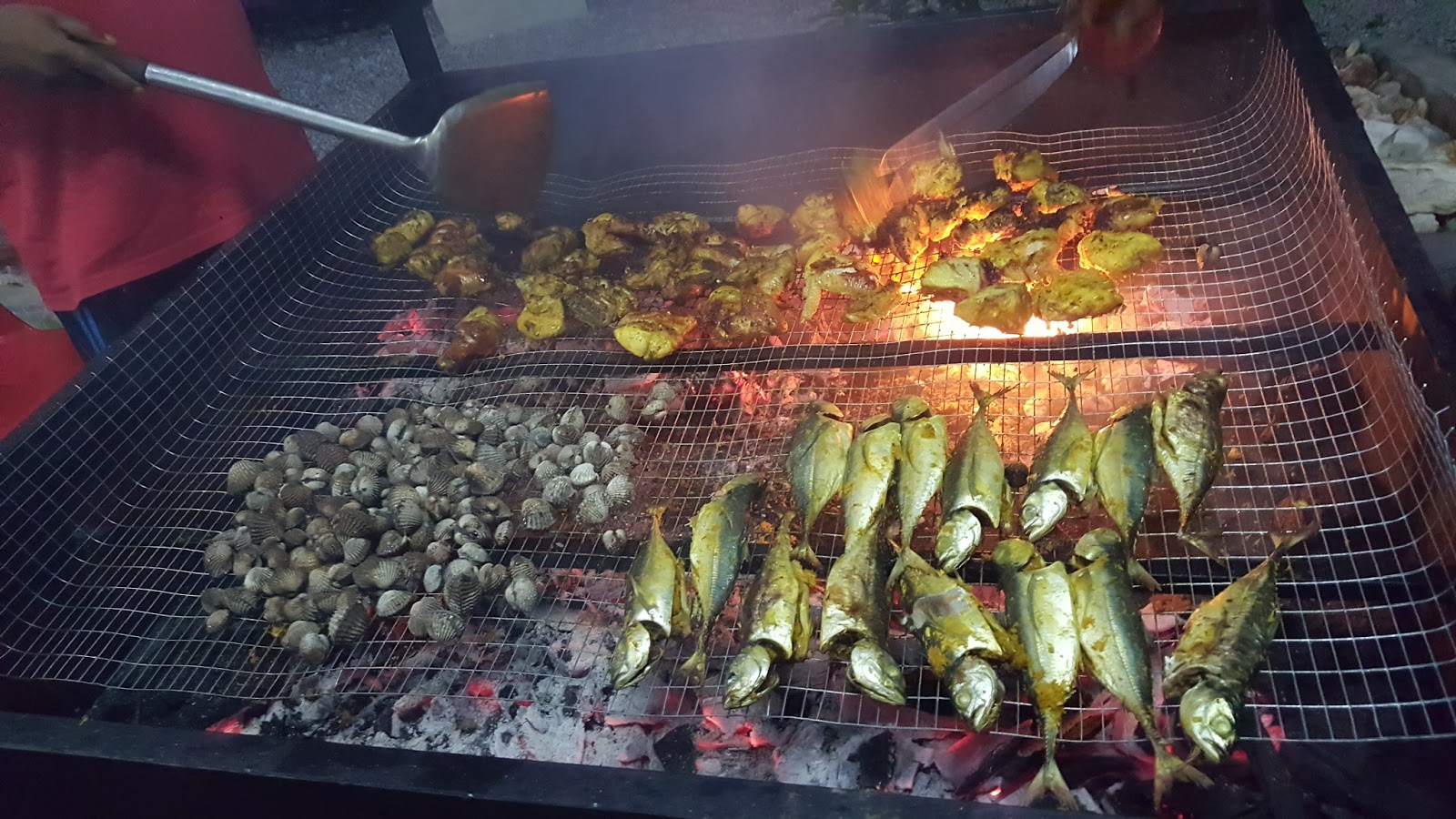 Kuala Selangor Cabin Camp (KSCC): TERKINI DI KSCC