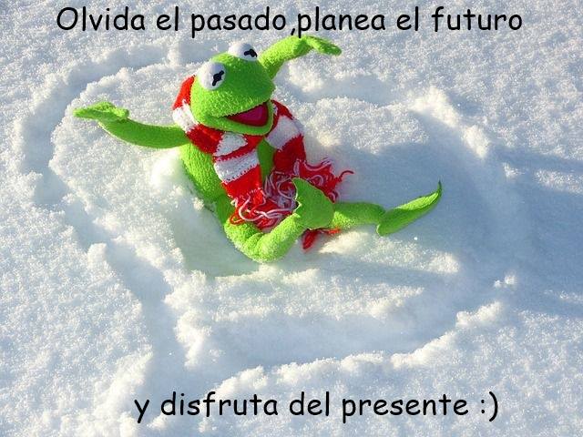 Memes de la rana rene: Una buena reflexión de la rana rene - memes de ...