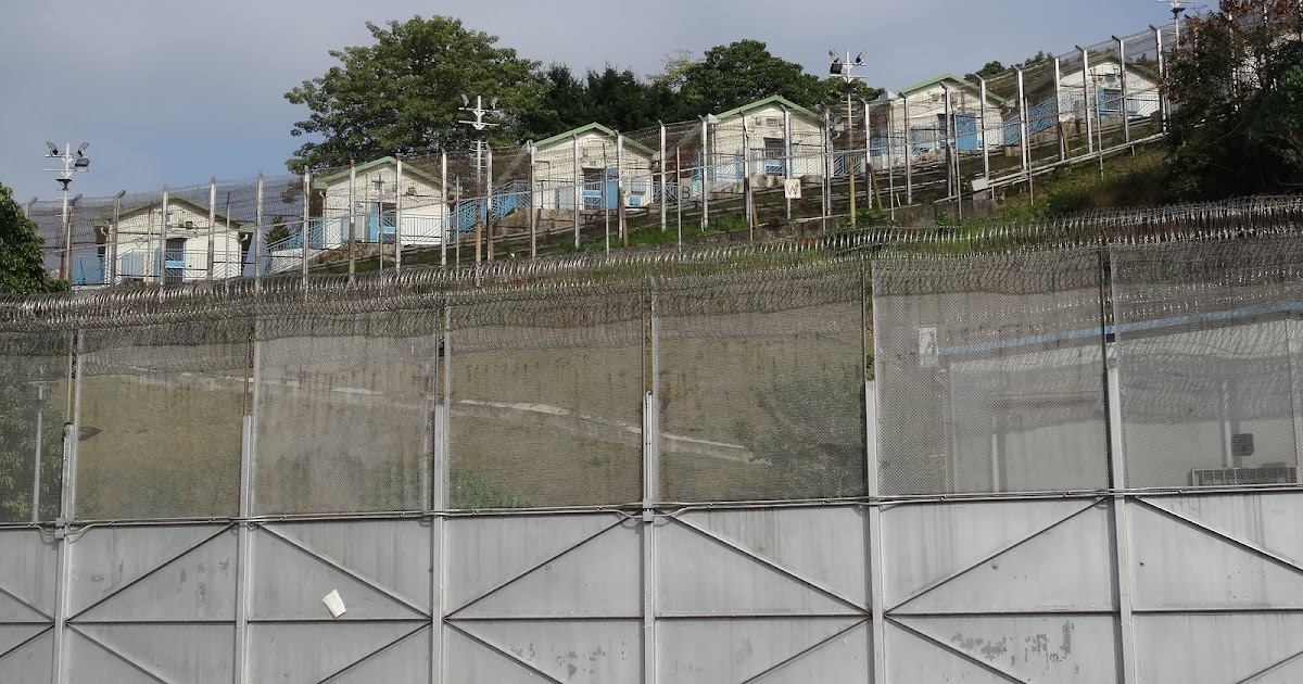WEBS OF SIGNIFICANCE: A Tai Lam Country Park hike whose trailhead is by ...