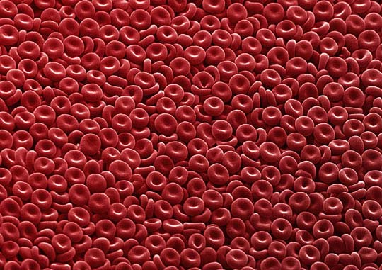 EQUIPO NO.3: FORMULA ROJA