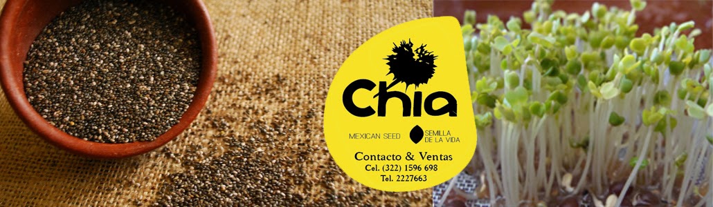MEXICAN SEED CHIA / LA SEMILLA DE LA VIDA: CHIA: ¿La Chia ayuda a bajar ...