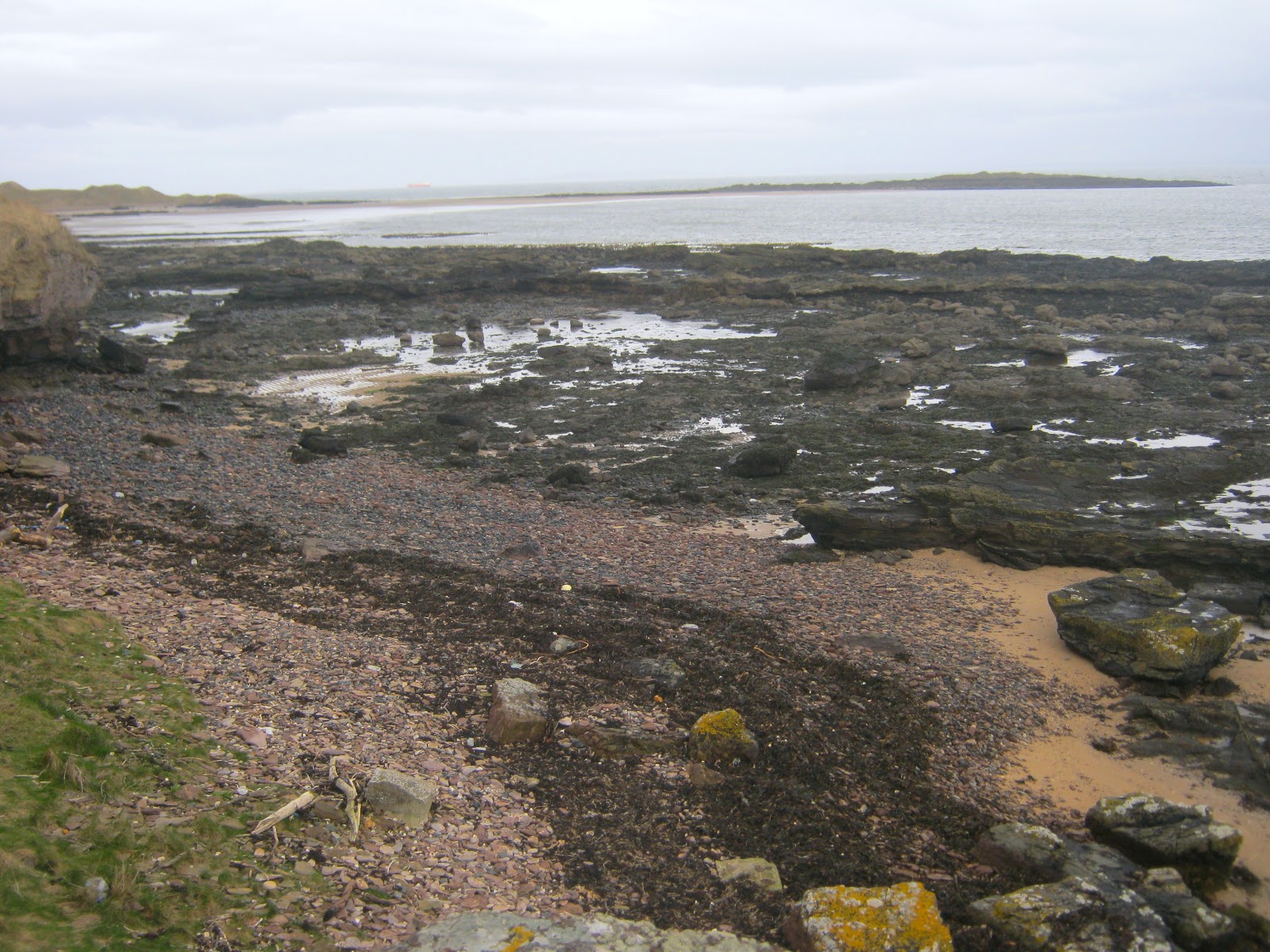 coastrider: Spring Tides Beach Rides...