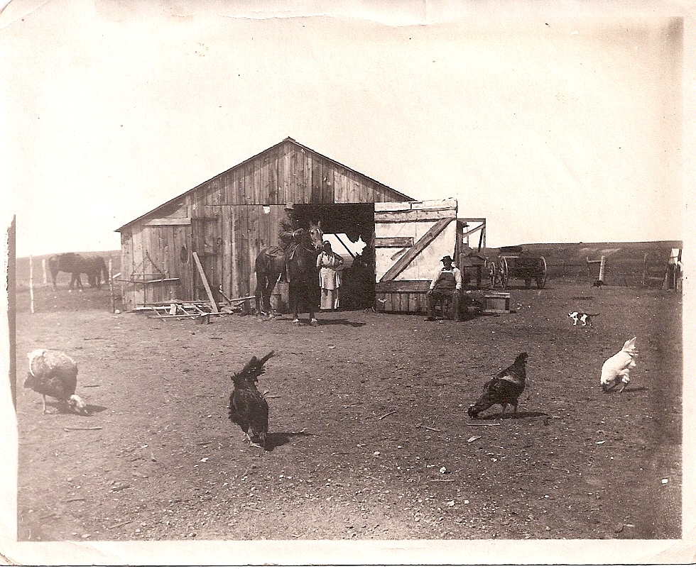 Pound Blatter Pictures