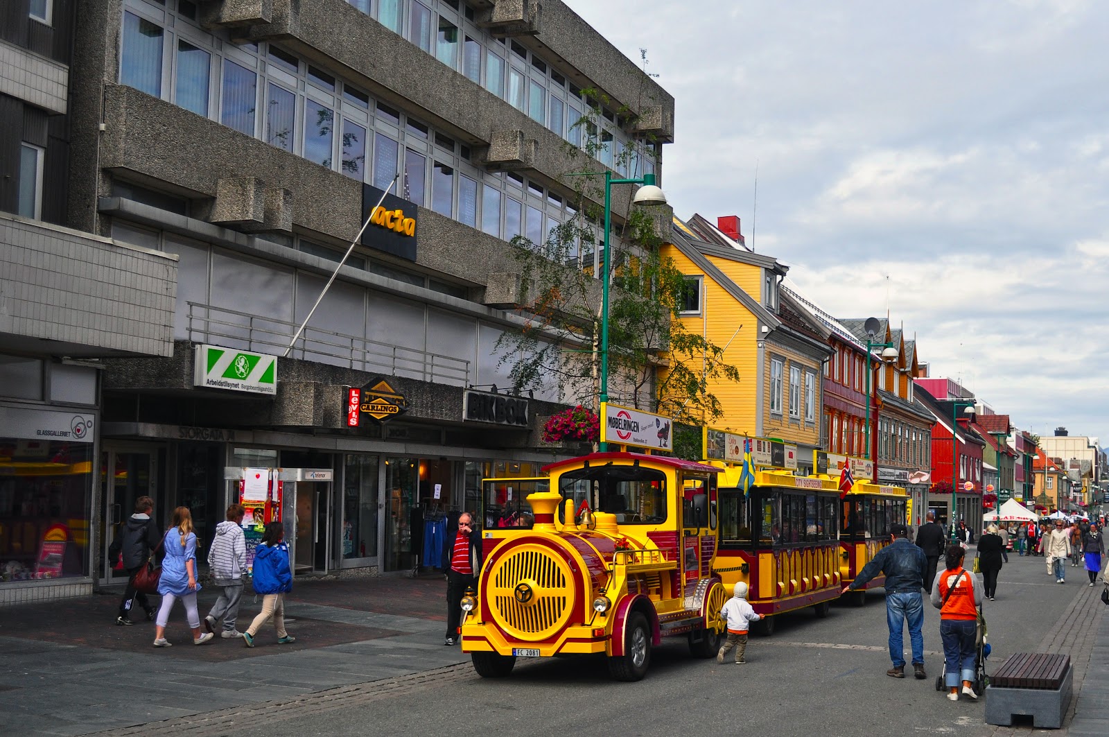 The Wayward Wanderer: Norway: Arctic-alpine Botanical Garden