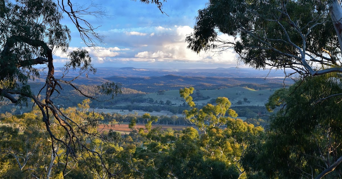 Goin' Feral One Day At A Time: Mt Alexander, Mt Alexander Regional Park ...