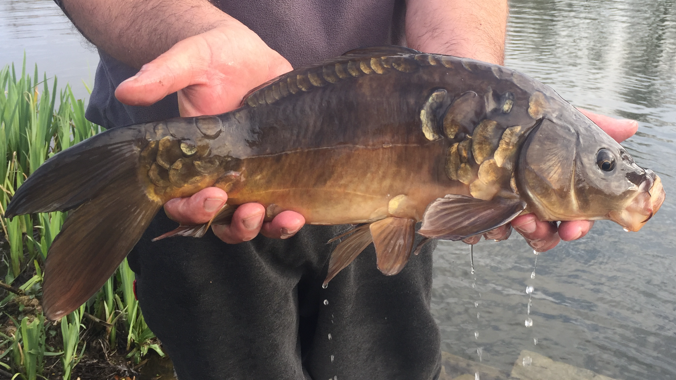 Jelson Private Angling Club Leicester