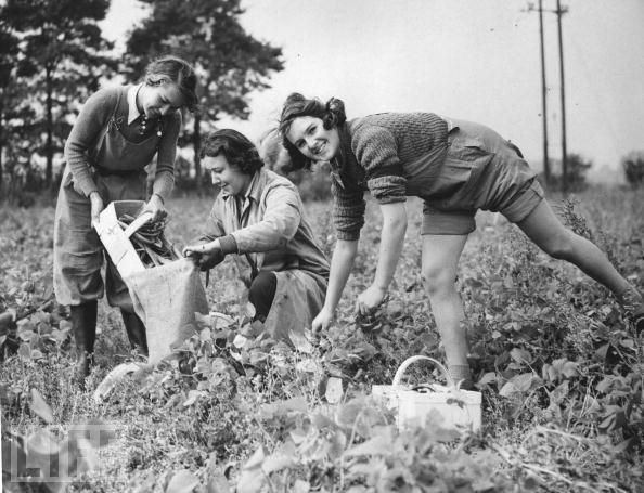 27 Interesting Vintage Photos of Women in World War II ~ Vintage Everyday