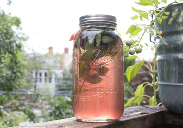 Hanging onto Summer: How to Make Sun Tea | 17 Apart