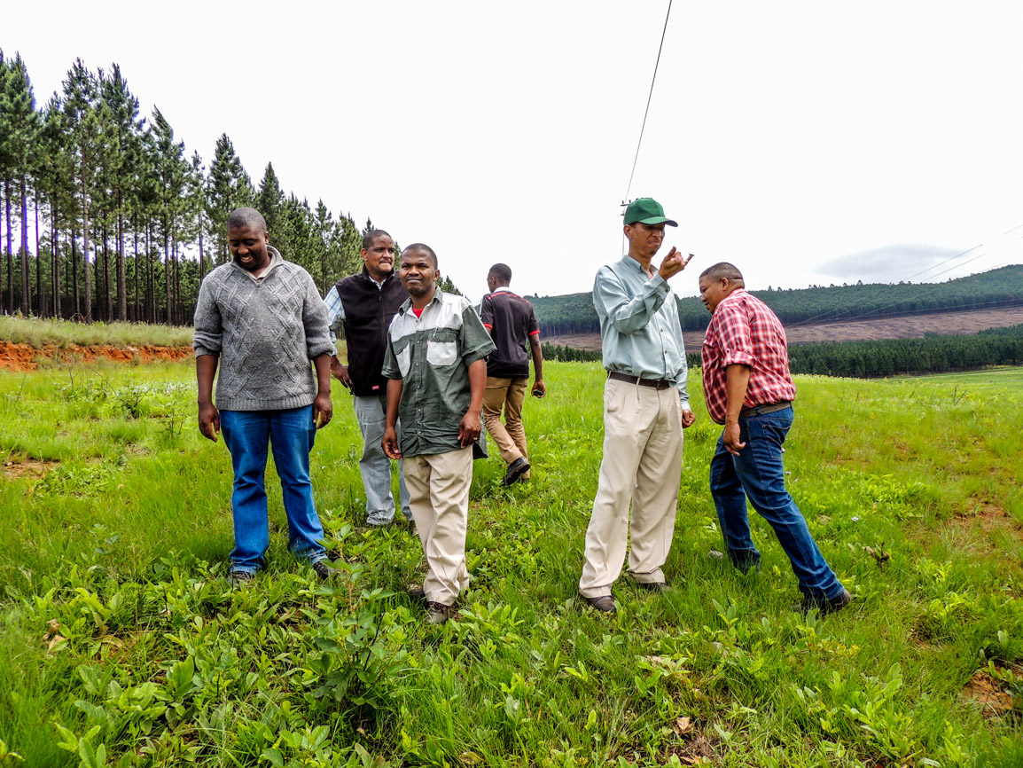 Pondoland C.R.E.W. Blog: Weza Conservation area visit