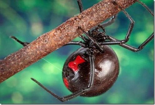 Ingunn i grunn: Gipsen er av!!!