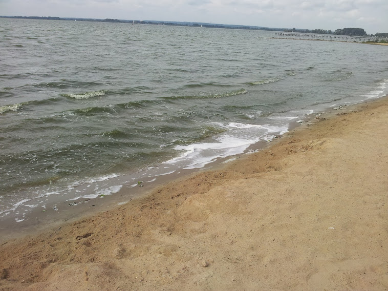 Solena's Test-Welt: Aloha Brause Surfsoda im Test