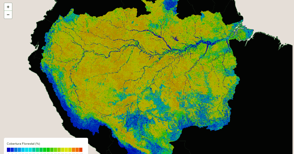 Forest cover through time