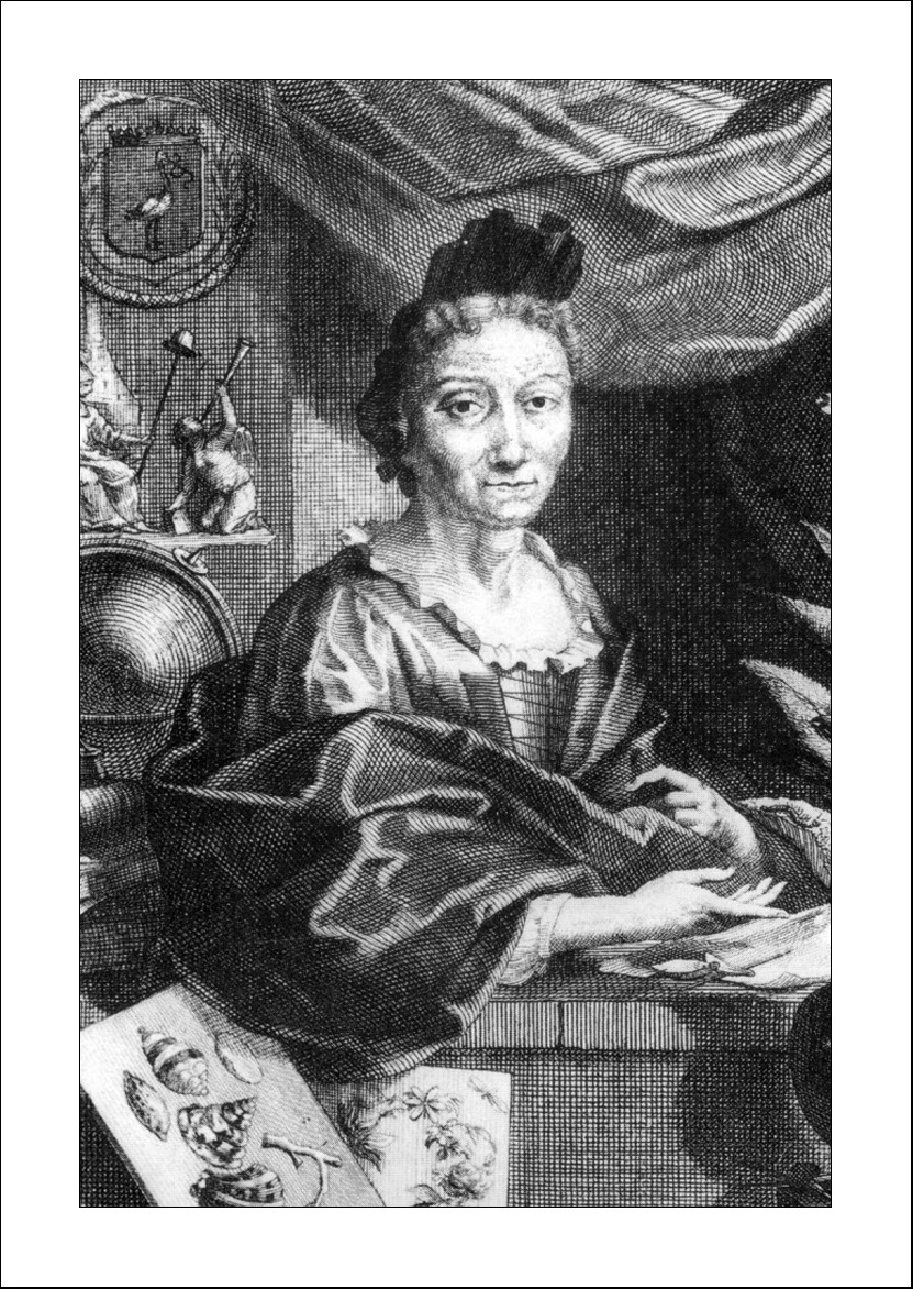 Maria Sybilla Merian naturaliste d'exception. 2015 009