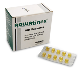 Stone Former's Diary