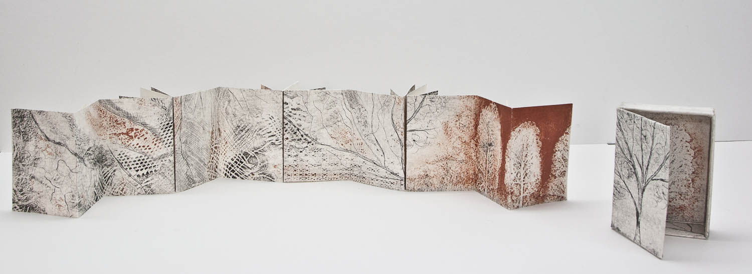 Fenfolio: Artistic Explorations: Artists' Books and Book Objects (2)