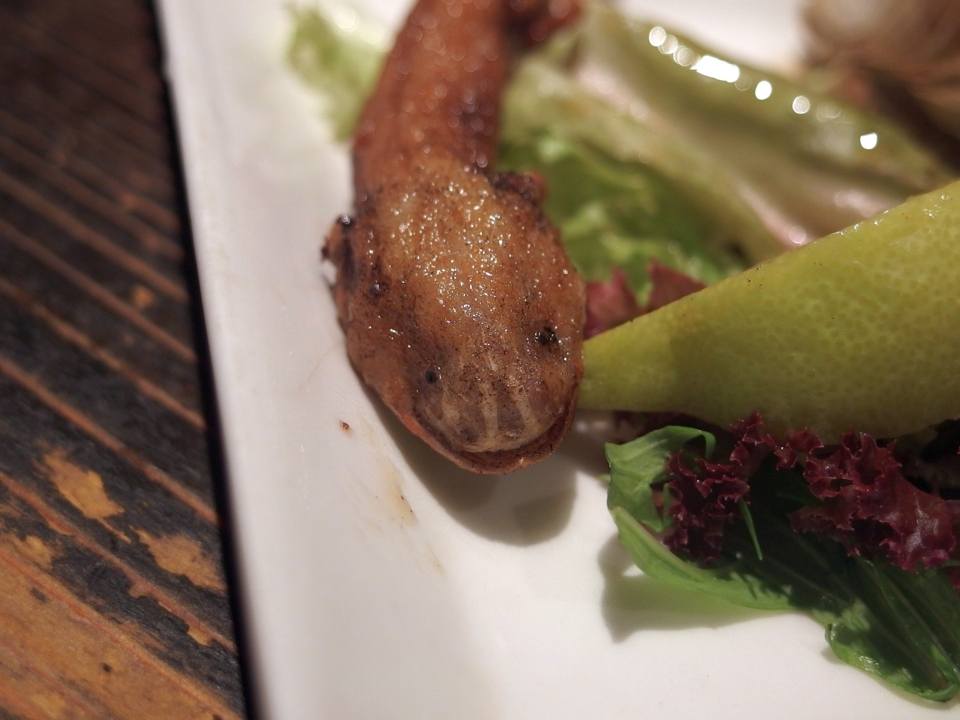 Love Food ? You May Want To Taste These | Olearmuio