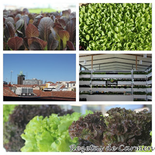 Menus completos con Florette