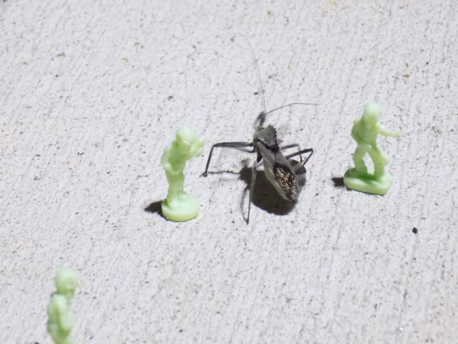 Bunker Talk: Mars vs Bugs