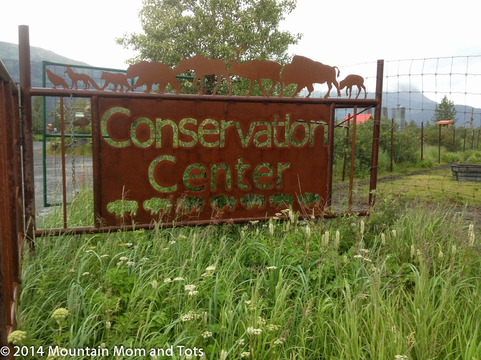Alaska Wildlife Conservation Center, Kenai Peninsula, Alaska - Mountain ...