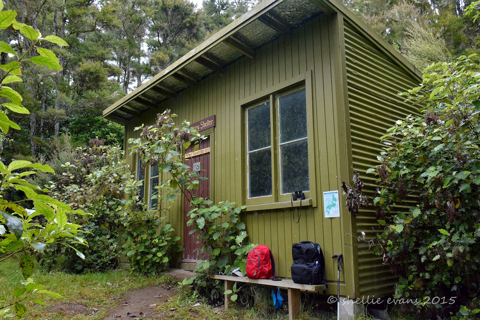 Two Go Tiki Touring: Blowhard Bush & a Tomtit