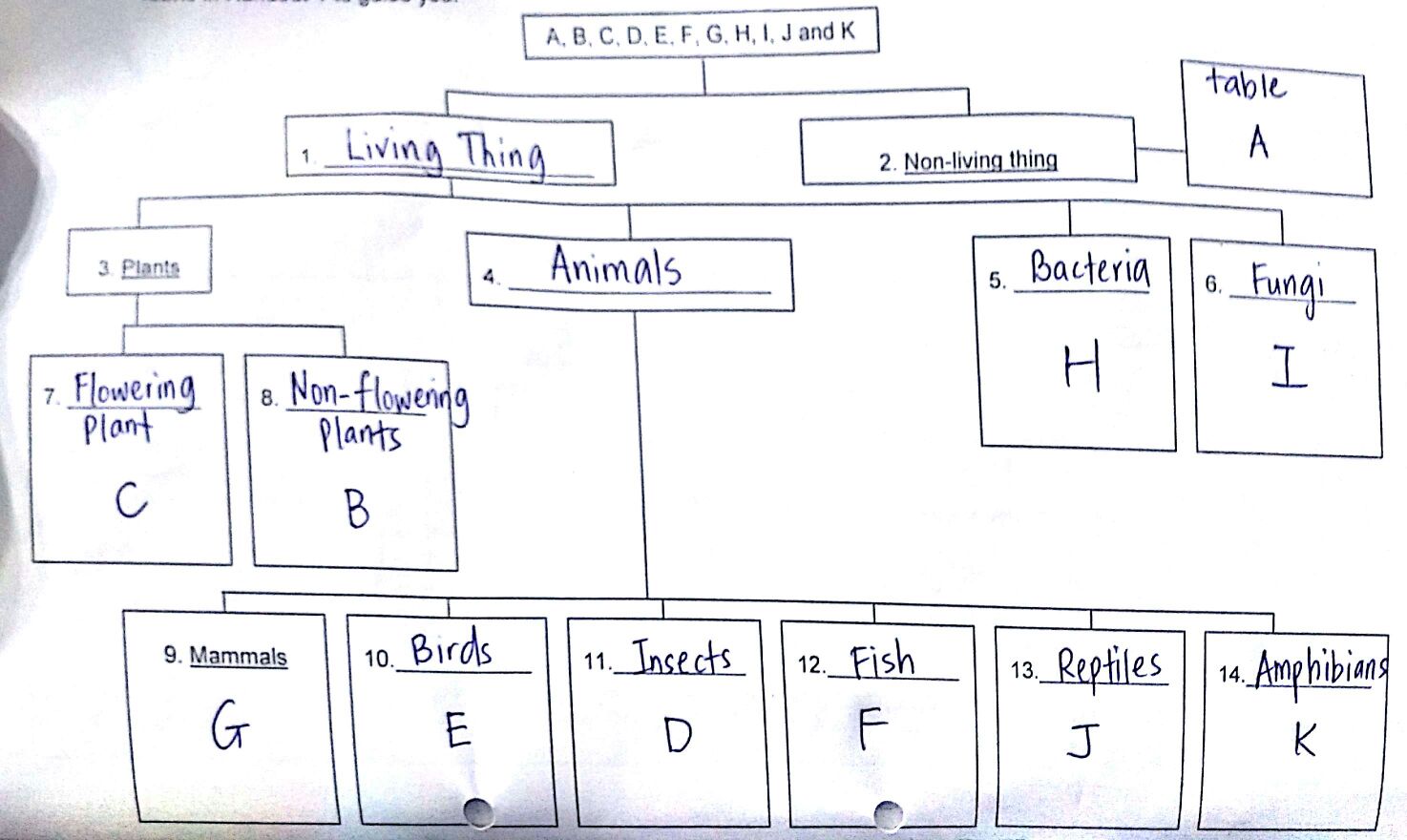 P3 Science: Activity Book