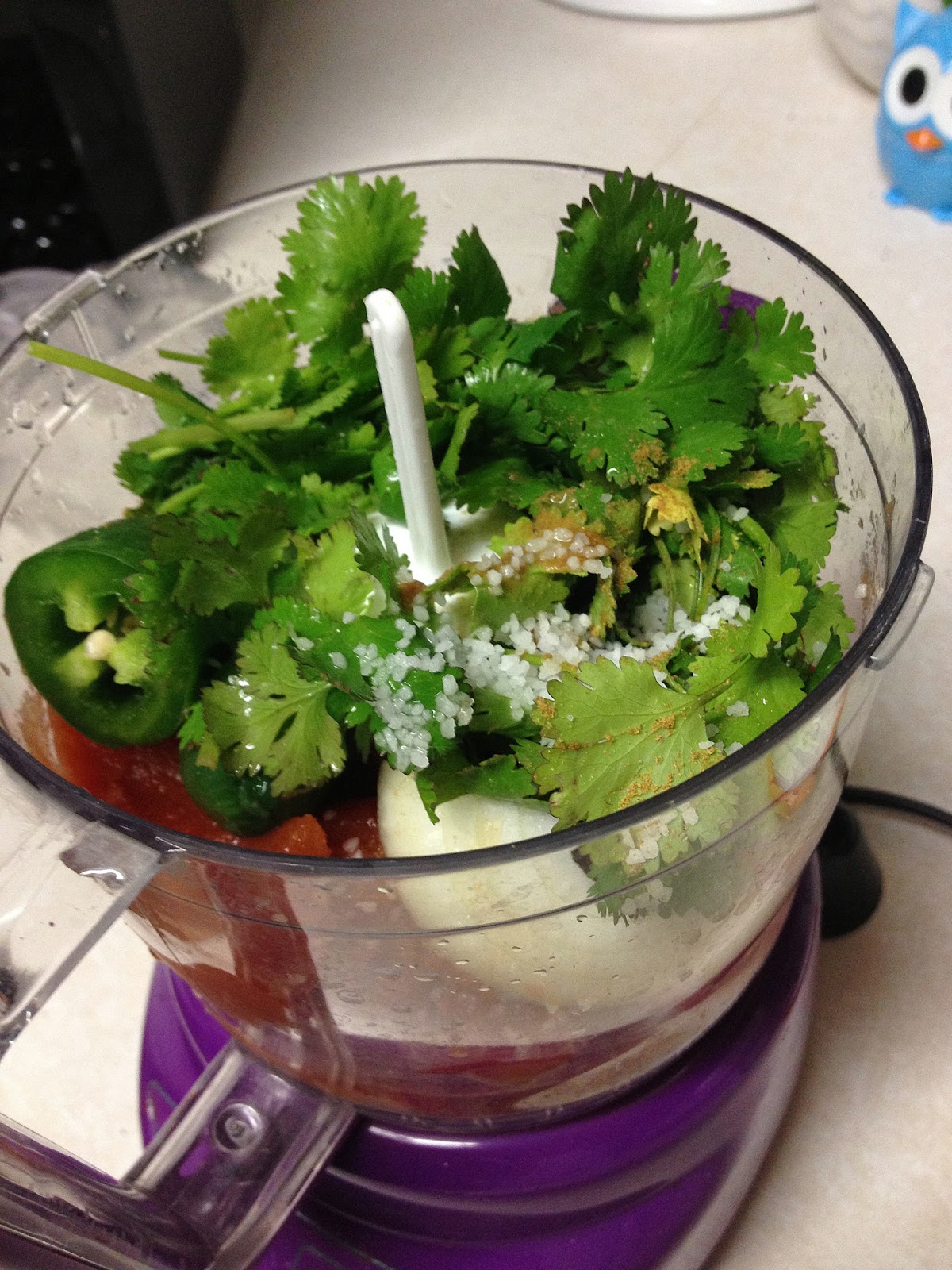 The Mellow Mallow: !~!~Homemade Salsa~!~!