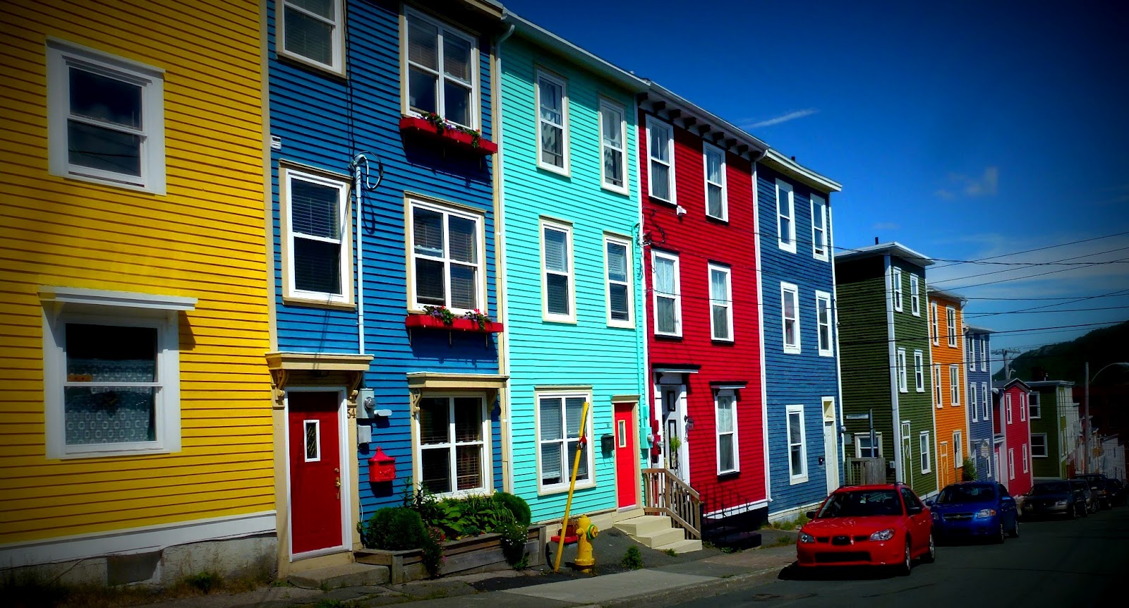 Charming Shadows: Life on the Farm: Newfoundland