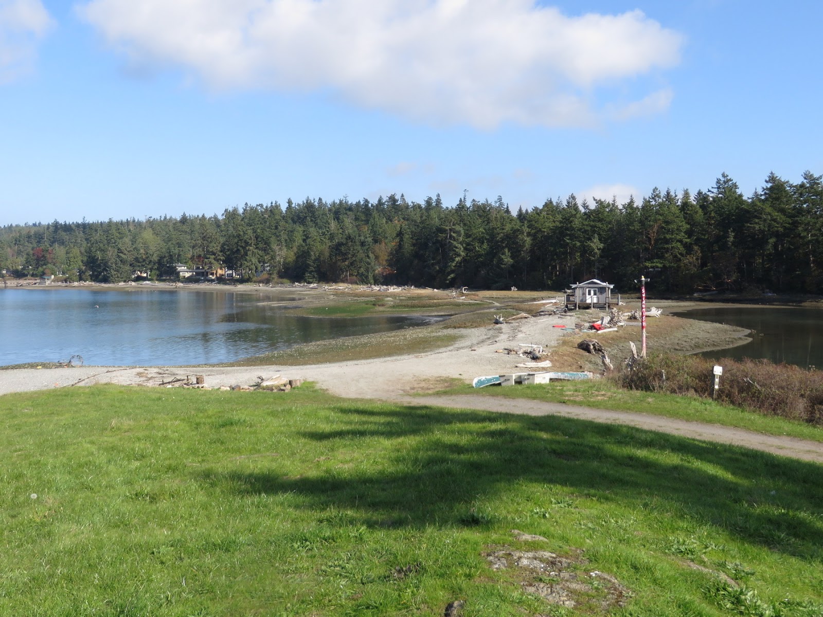 Gravel Beach: Lone Tree Point